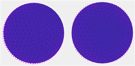Incompressible Flows On Meshes Sgi 2021