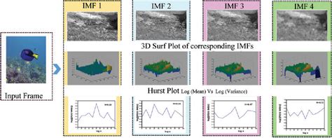 Figure 3 From Deep Neural Network Driven Automated Underwater Object Detection Semantic Scholar