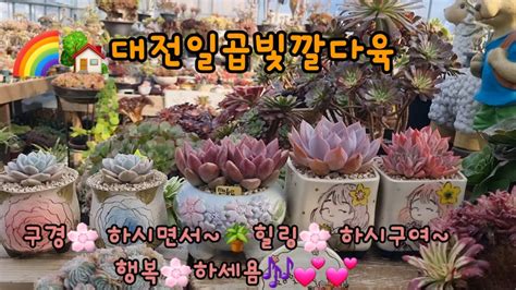1️⃣2️⃣월0️⃣3️⃣일🌈🏡🪴다육이들이🌸주는🌸행복 찿기~💕💕💕 Youtube