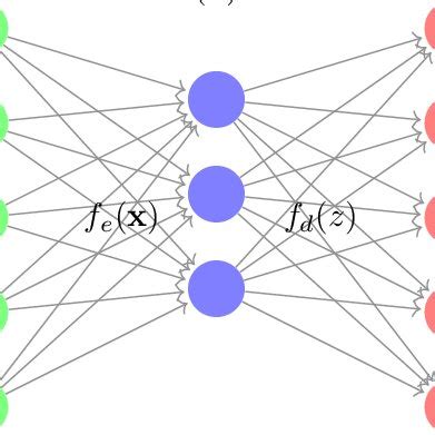 1 Schematic Of A Single Layer Supervised Autoencoder Neural Network Download Scientific