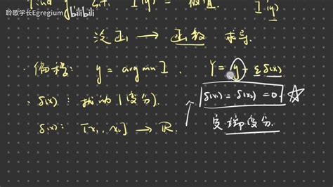 [calculus of variations] 变分法的基本原理：euler 哔哩哔哩