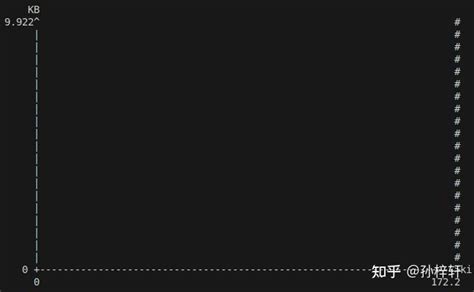 【译】valgrind Massif：一个堆分析器 知乎