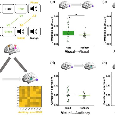 Representational Connectivity Analysis And Direct Neural Pathways A