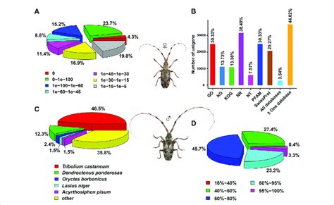 Annotation Of The Transcriptome In P Antennata Illustrating The