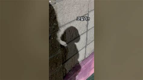 그림자 맞추기 Youtube