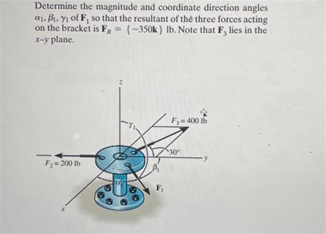 Solved Determine The Magnitude And Coordinate Direction Chegg