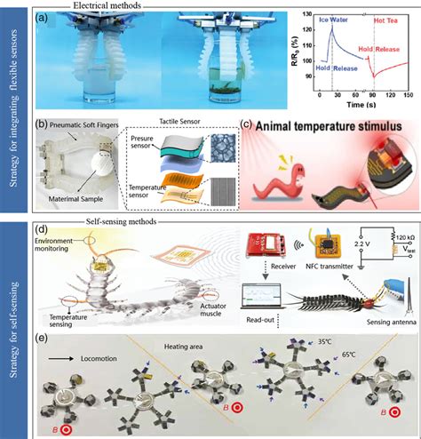 Recent Advances In Perceptive Intelligence For Soft Robotics Lin 2023 Advanced Intelligent