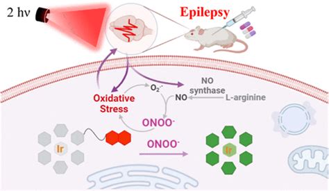 Analytical Chemistry Vol 95 No 50