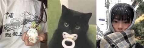 ･ﾟ Twt Header Twitter Header Header Twitter