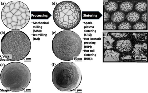 Schematic Figures A D G Secondary Electron SEM Micrographs B C E F Download Scientific