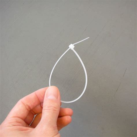 Branching Morphogenesis — Sabin Design Lab