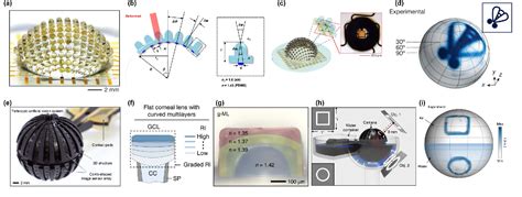 Figure 1 From Bio Inspired Visual Systems Based On Curved Image Sensors