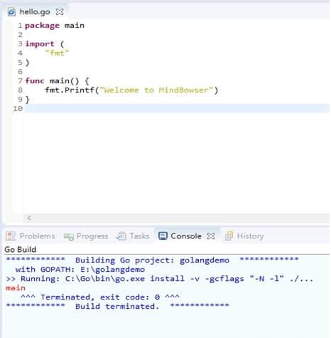 Creating Your First Go Project Mindbowser
