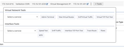 View Virtual Route Table