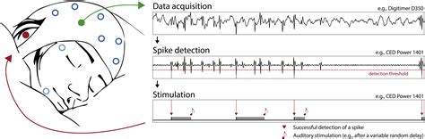 Cell Press Star Protocols