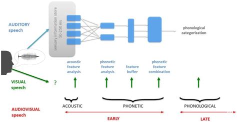 Classic Information Theoretic Description Of Speech Processing Classic Download Scientific