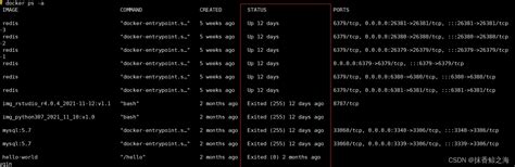 Docker容器的七种状态。docker 状态 Csdn博客