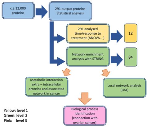 Workflow Of The Protein Identification Process In Ovarian Cancer Serum