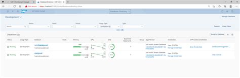 Hana Cockpit Sap Security Pages
