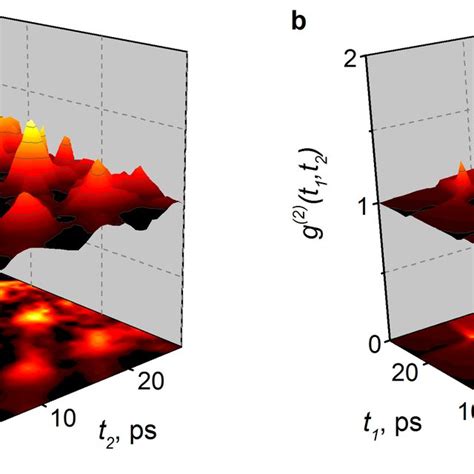 Two Dimensional Correlation Function A Measured G 2 T1 T2 For Download Scientific
