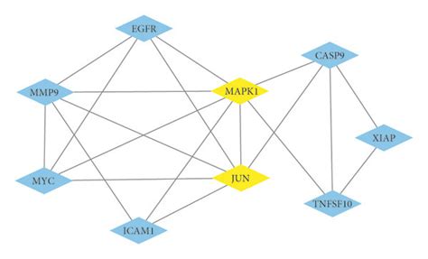 A Predicted Targets By Pin B Clusters Predicted By Mcode Mapk1