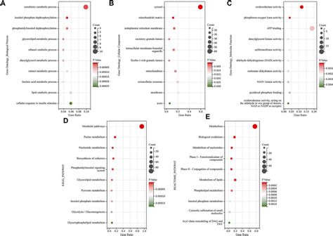 Identification And Validation Of Metabolism Related Hub Genes In Idiopathic Pulmonary Fibrosis Pmc