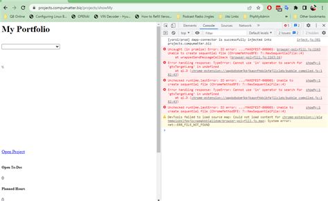 Bug Portfolio Page Html Css Broken Page Displays Improperly