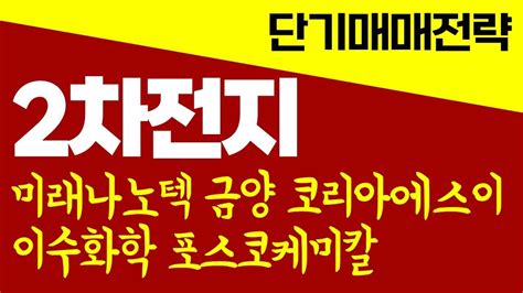 2차전지 미래나노텍 금양 코리아에스이 이수화학 포스코케미칼 Youtube