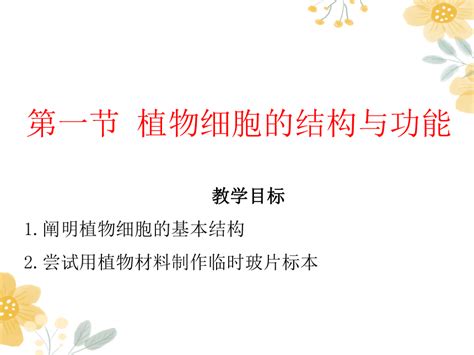 2 3 1植物细胞的结构和功能课件（共22张ppt）2023 2024学年苏教版生物七年级上册 21世纪教育网