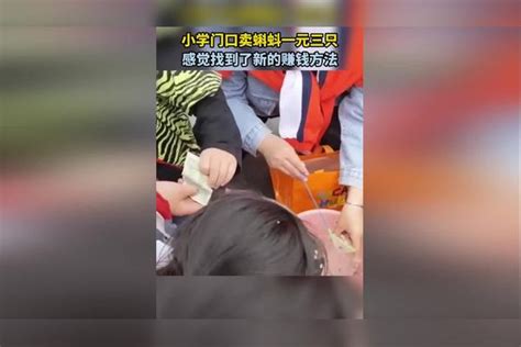 小学门口卖蝌蚪一元三只感觉找到了新的赚钱方法