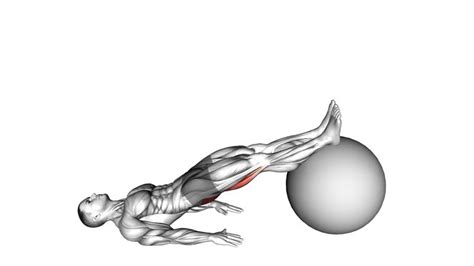 Exercise Ball One Legged Diagonal Kick Hamstring Curl Video Exercise