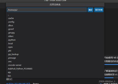 使用vscode对树莓派远程c 调试 树莓派 vscode c csdn博客