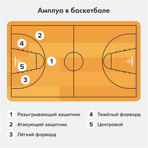 Амплуа в баскетболе позиции игроков на площадке
