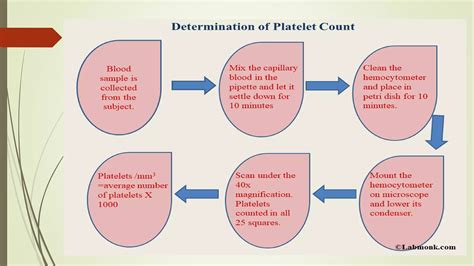 Practical Hematology L 01 Manual Cbcpdf