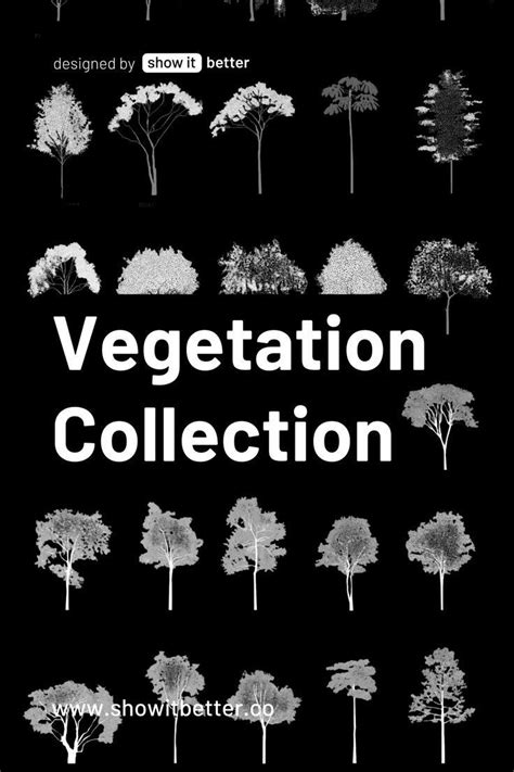 Vegetation Collection In 2025 Photoshop Brushes Photoshop Vegetation
