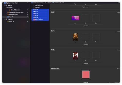 【swiftui模块】0008、swiftui 自定义启动闪屏动画 app启动闪屏曲线路径动画 swift 自定义闪屏页 csdn博客