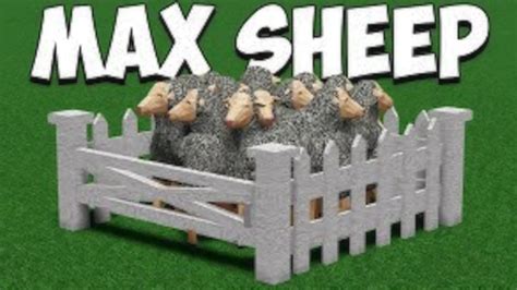 Sheep Roblox