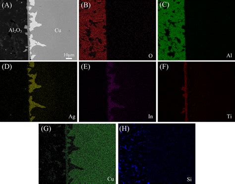 Interfacial Microstructure Of Al2o3 And Copper Joint Brazed At 780°c Download Scientific