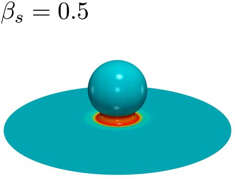 Effect Of βs On The Drop Interface Coalescence Dynamics For Insoluble