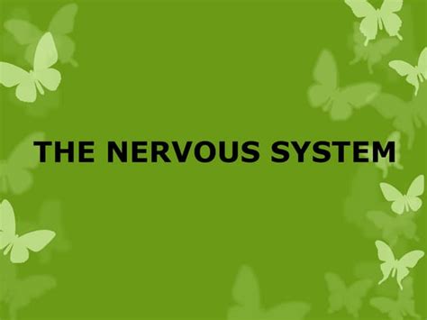 Nervoussystem Class With Classification Of Nervous System Pptx