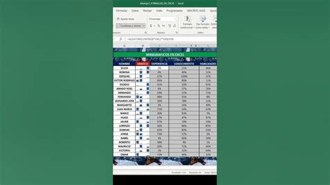 MinigrÁficos En Excel Youtube