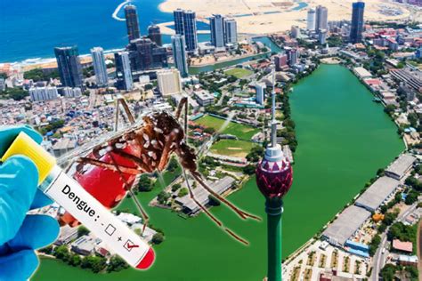 மேல் மாகாணத்தில் டெங்கு நோய் தொடர்பில் விடுக்கப்பட்டுள்ள எச்சரிக்கை தமிழ்வின்