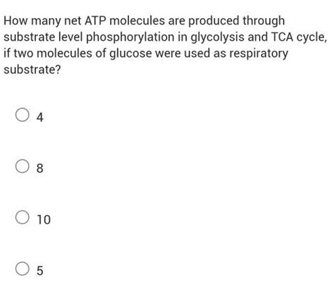 How Many Net ATP Molecules Are Produced Through Substrate Level Phosphory