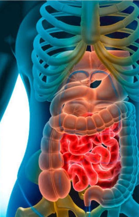 Common Symptoms Of Appendix Cancer