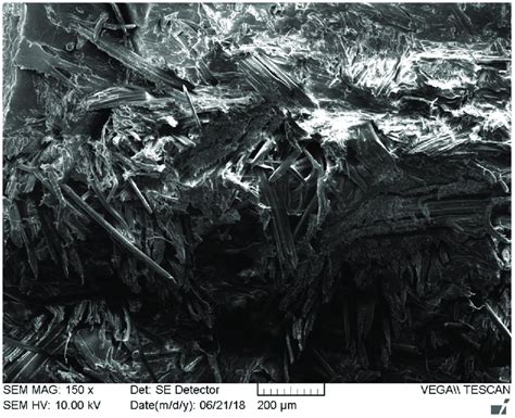 Sem Micrographs Of Cryo Fractured Surfaces Of The Pp Flax Composites Download Scientific