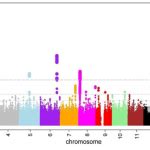 Manhattan Plot Xenographics