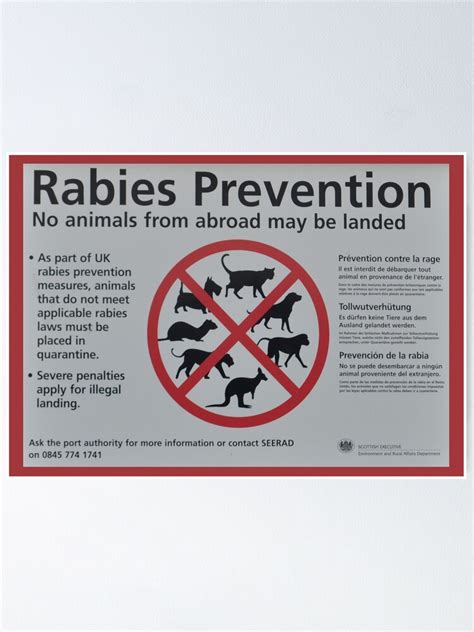 Rabies Prevention Poster For Sale By Murray Mint Redbubble