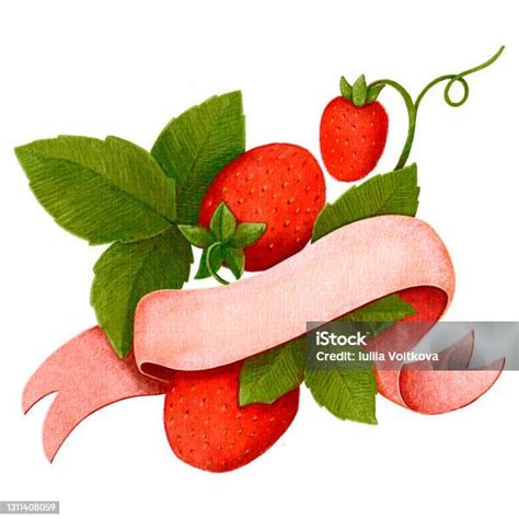 딸기 화환 딸기 잎 그래픽 핸드 그린 크레용 스타일 포장 메뉴 카드 포스터 인쇄를위한 낙서 그림 흰색 배경 위에 격리 딸기에