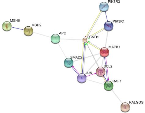 Target Genes Were Screened And Shown As Association Proteinprotein Download Scientific Diagram