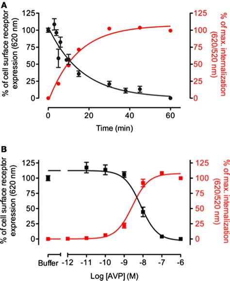 Comparison Between Deret Based Internalization Assay And Measure Of Download Scientific Diagram
